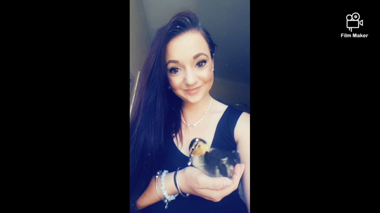 Family rescue abandoned mallard duck hand rear and release back into ...