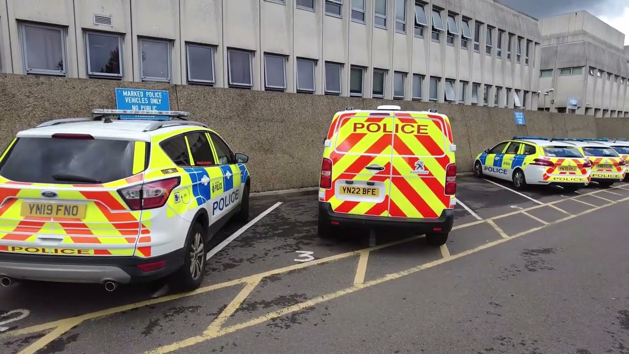 If You Ask The Police To Identify They Have To Give You Their Collar ...