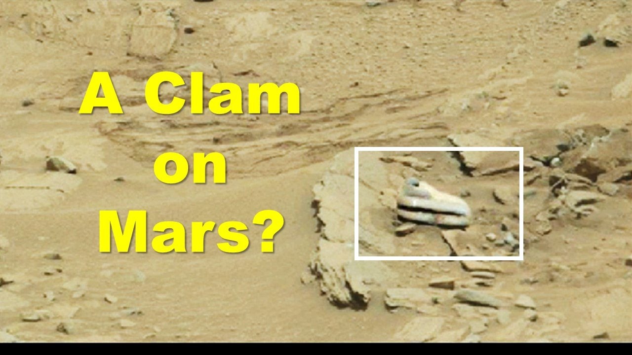Did the Curiosity Rover Find a Clam on Mars? - YouTube