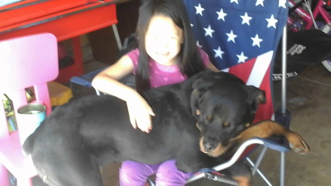 Emily holding Max. 4-6-14 - YouTube