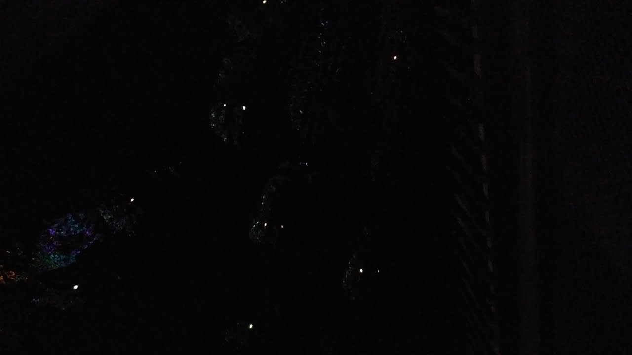 Alligator Eyes at Night - YouTube