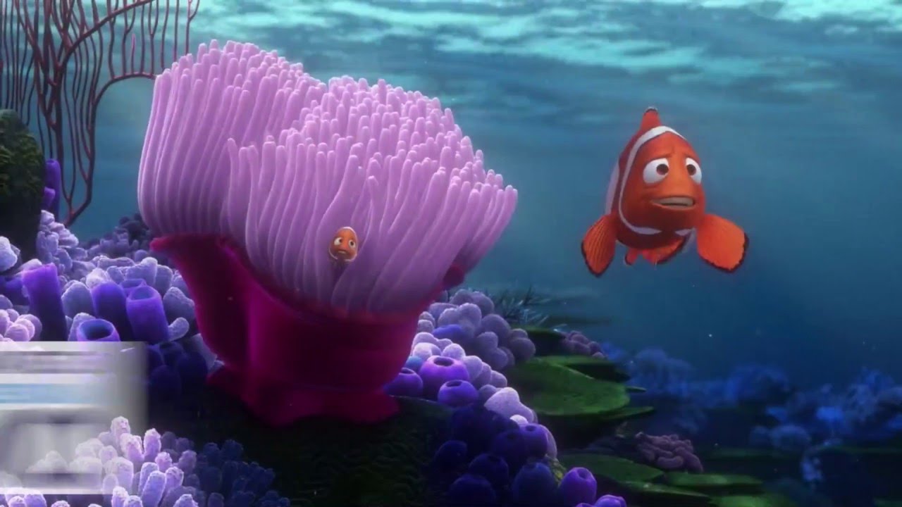 Finding Nemo Home