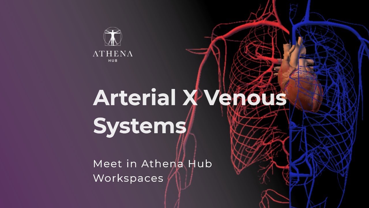 Arterial System - Athena Hub Workspaces - YouTube