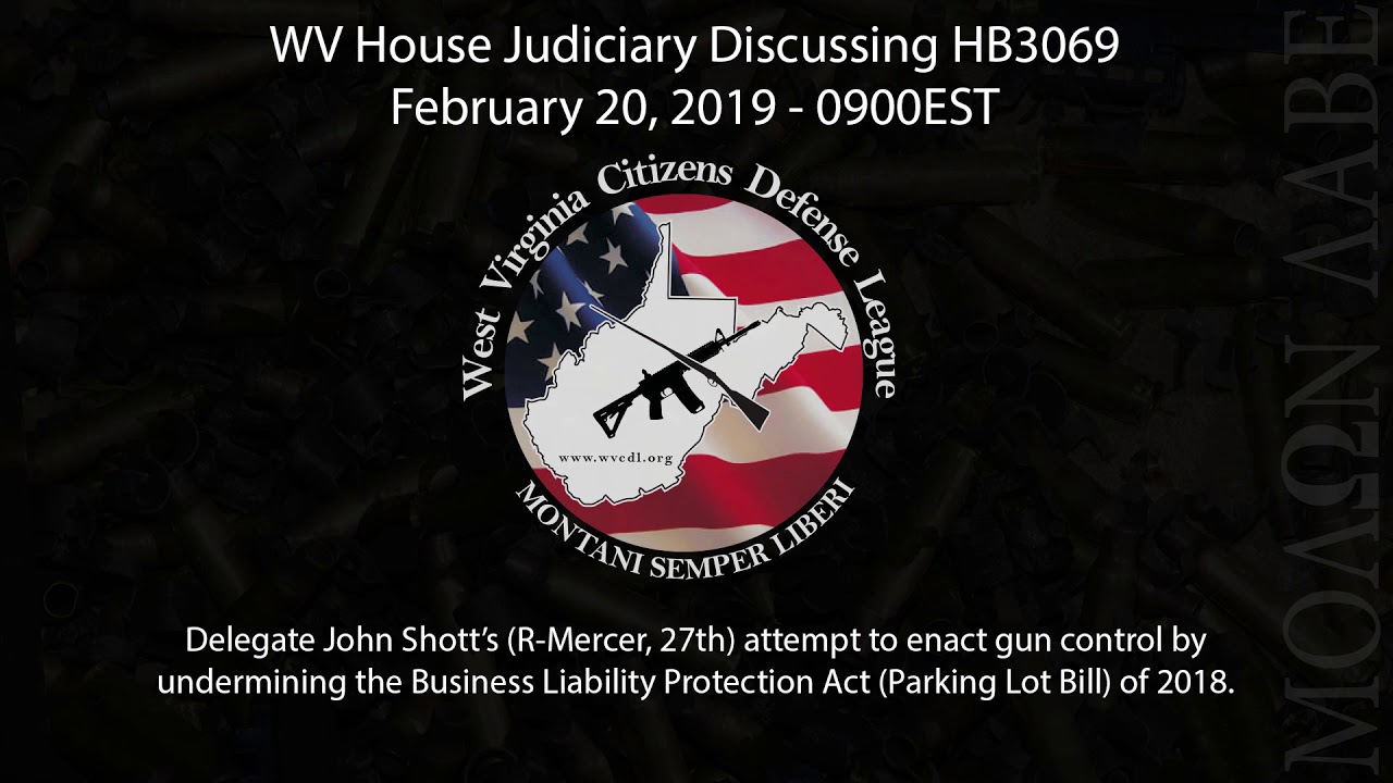 WV House Judiciary - John Shott's Gun Control - February 20, 2019 - YouTube