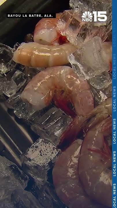 Alabama shrimping industry welcomes tariffs - WPMI NBC 15 - YouTube