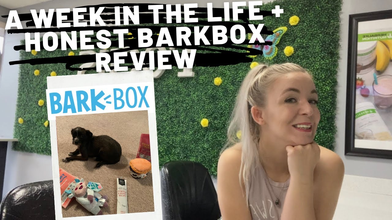 A week in my shoes; honest barkbox review - YouTube