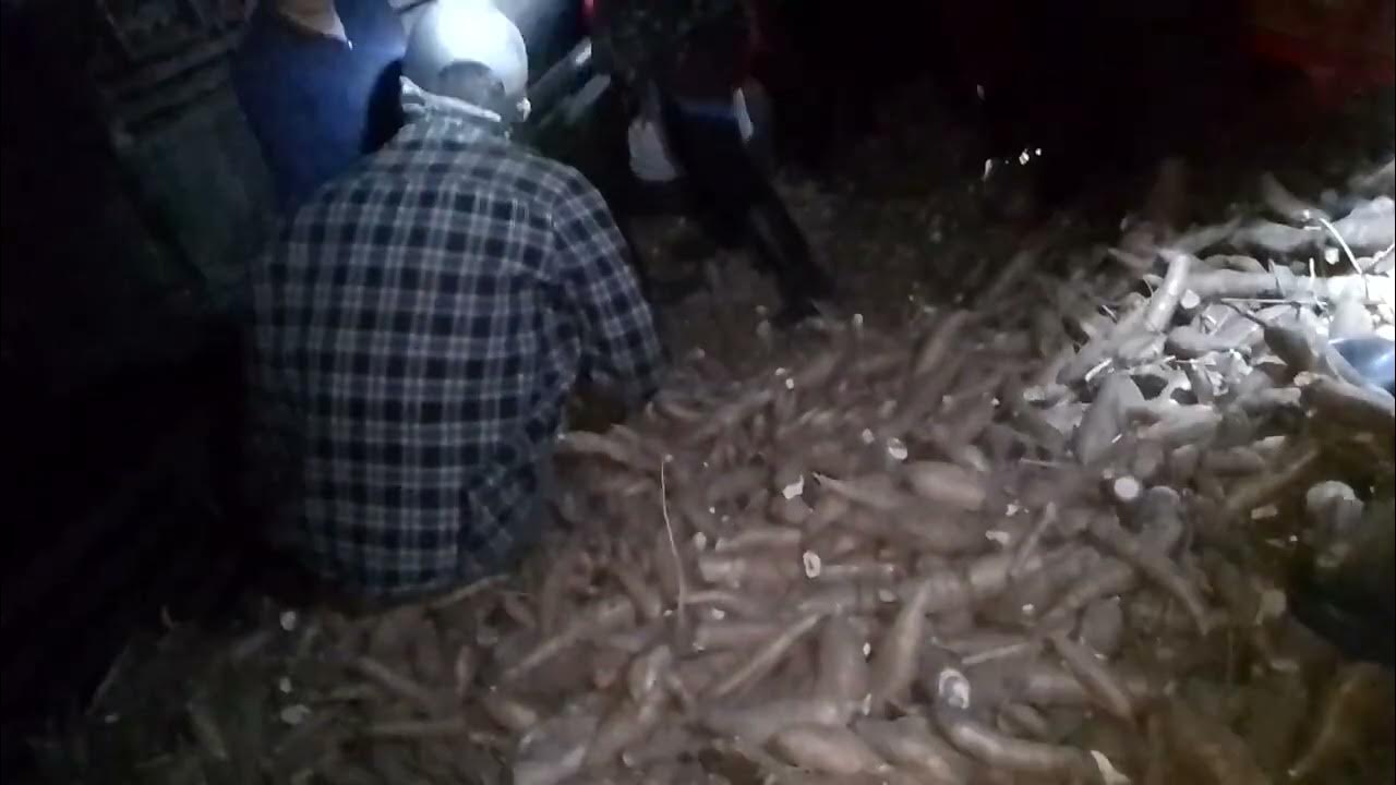 hnub no khawb qos tsheb ham quav maub dub rov npauv li no nyuaj kaws - YouTube