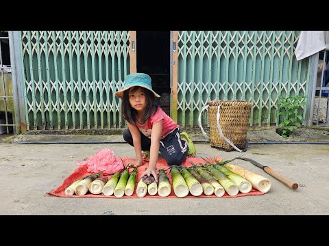 fullvideos Poor orphan girl alone overcomes difficulties to make a living - Kieu Trinh TV