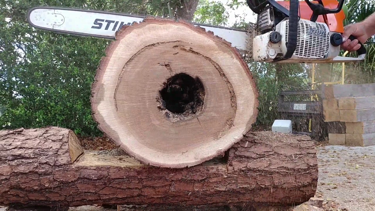 STIHL 066 vr HUSKY 395 xp - YouTube