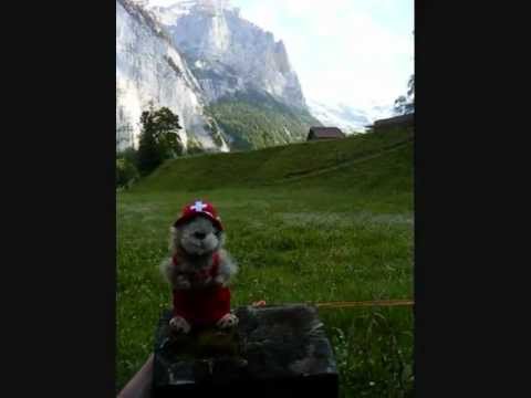 Yodelling Marmot - YouTube