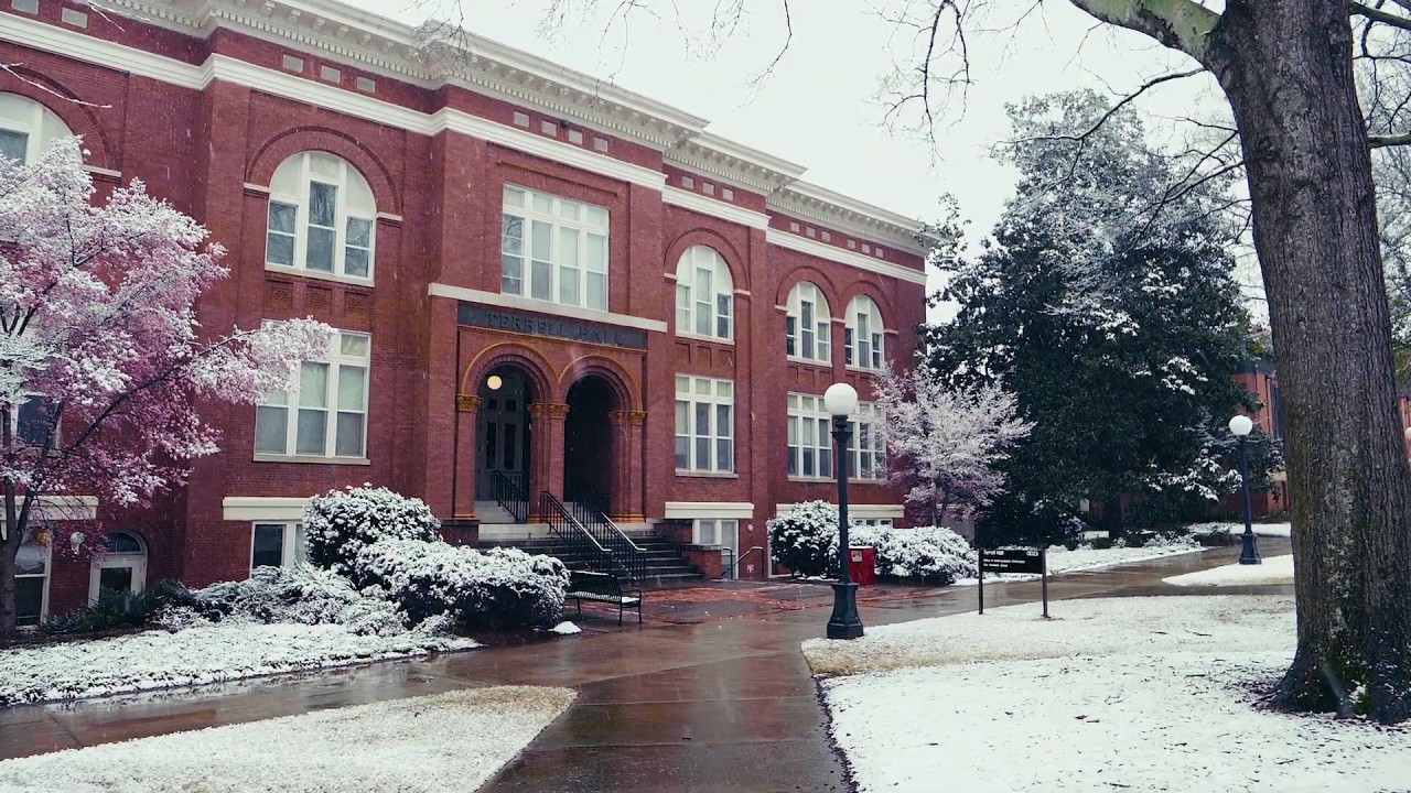 snow day at uga - YouTube