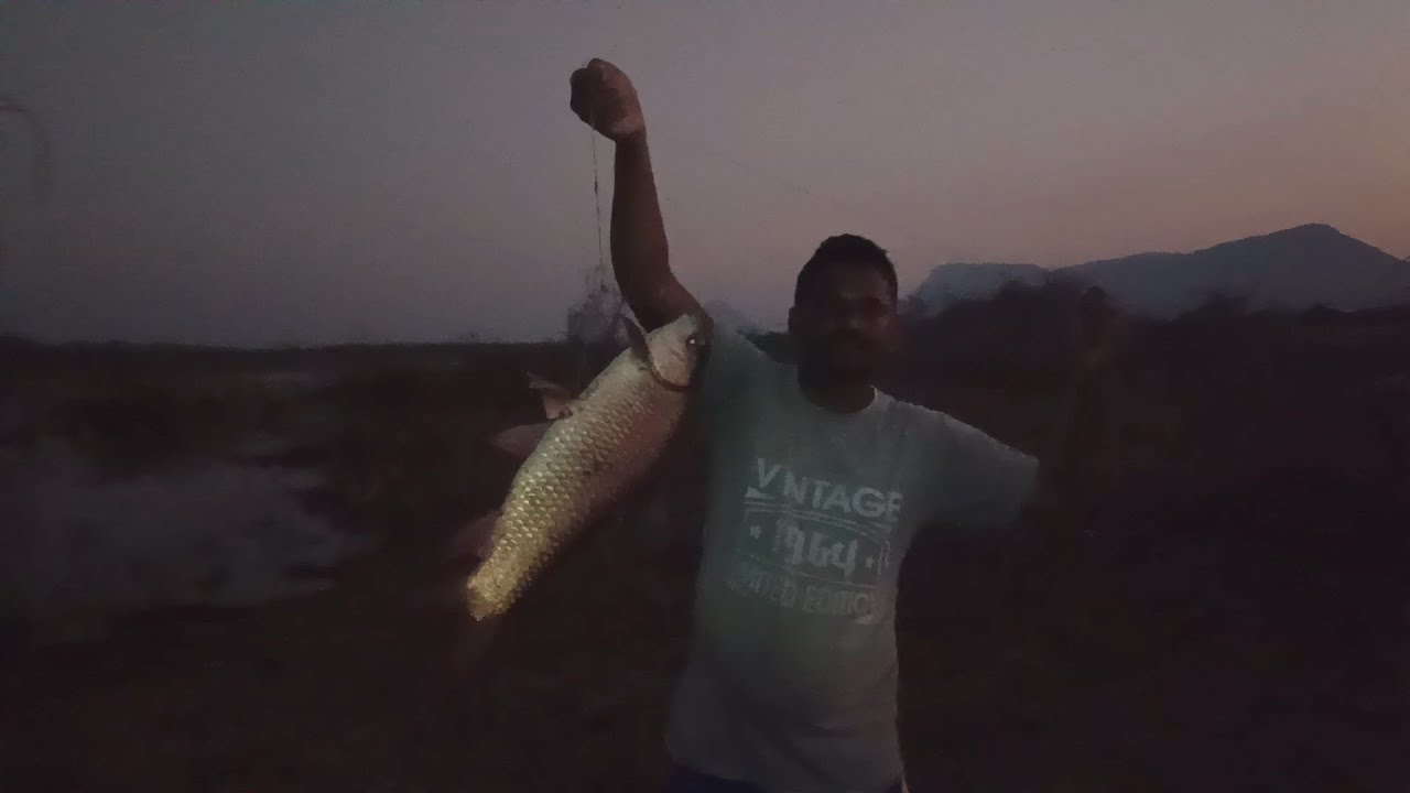 #పెద్ద #చెప🐟 పాము 🎣రెండు గండి 🪱 gandi fishes 🐠 చాల కష్ట పడి పట్టము ...