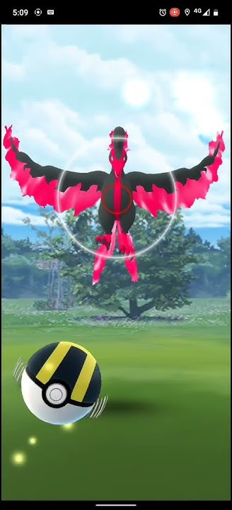 Moltres Galar Pokemon Go Youtube