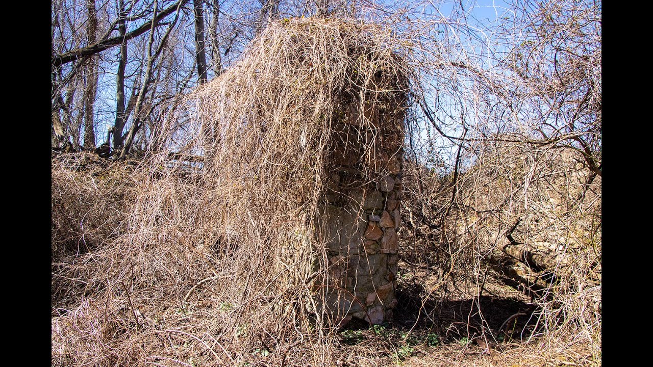 Alexander - Swaney Farm - YouTube