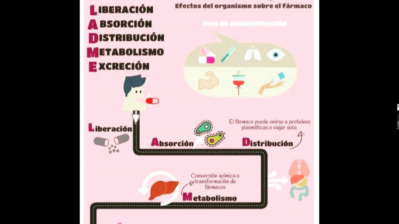 SISTEMA LADME - YouTube