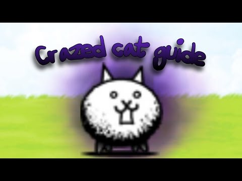 Crazed cat guide - YouTube