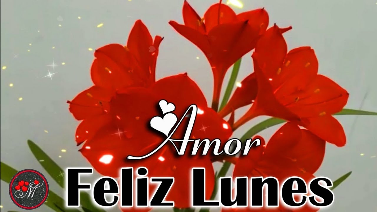 Feliz Lunes Amor