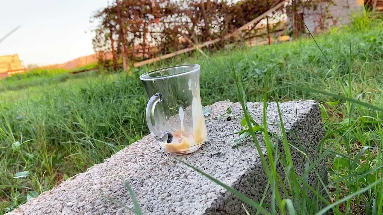 “Poetic Mode “ documentary (morning) - YouTube