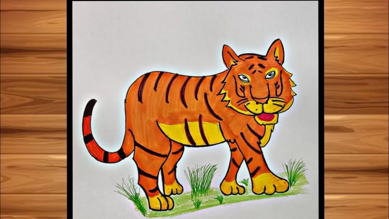 how to draw tiger colour,tiger drawing,tiger - YouTube