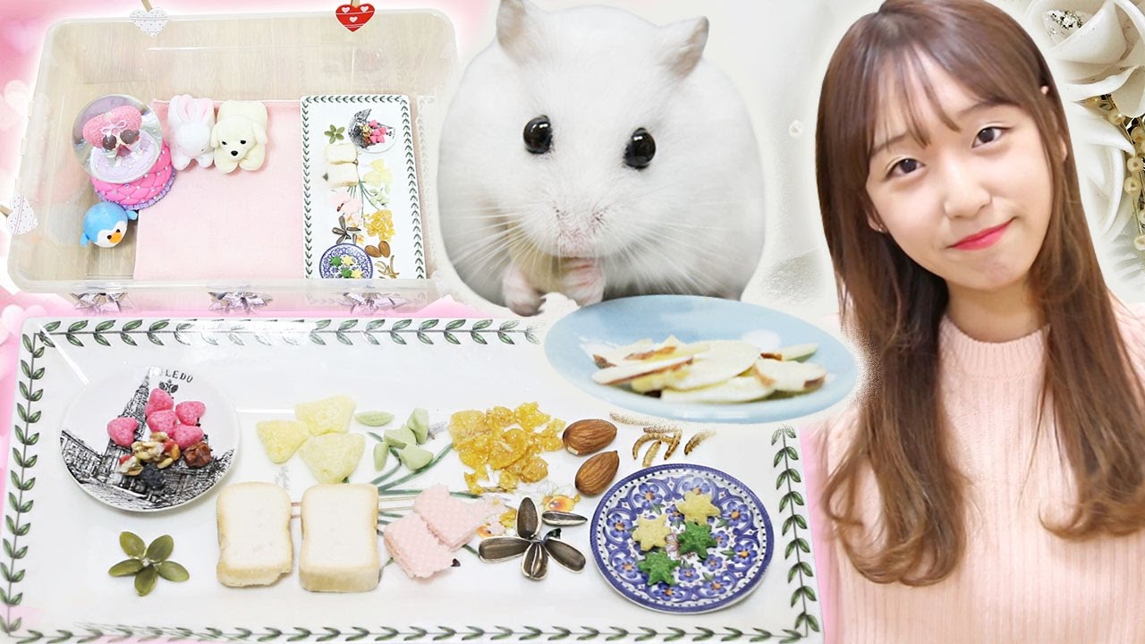 [이루리] 햄스터 웨딩 뷔페! 푸드파이터 햄스터?! 햄스터 먹방! Tiny Hamster wedding Buffet, ハムスター ...