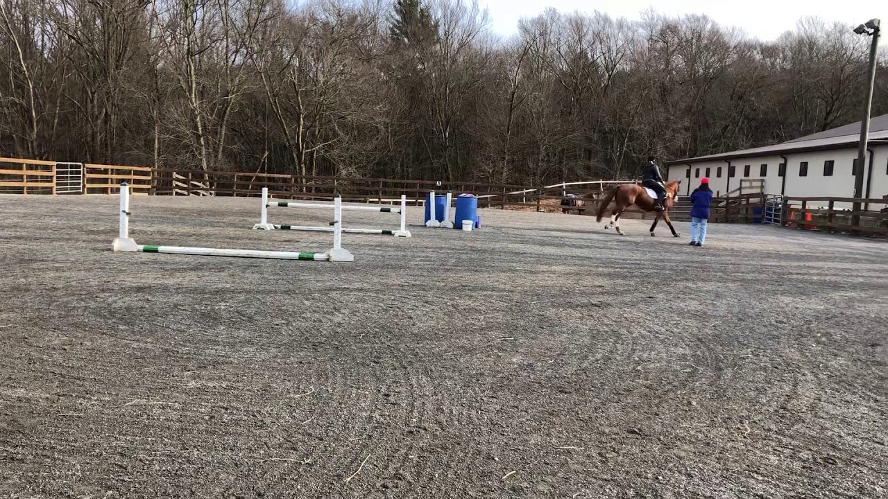 Petey jump school - YouTube