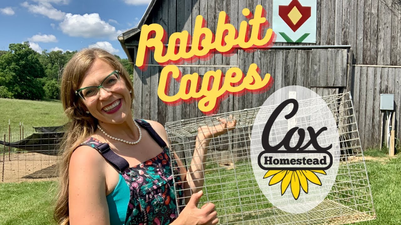 Rabbit Cages: The Ideal set up. Cox Homestead - YouTube