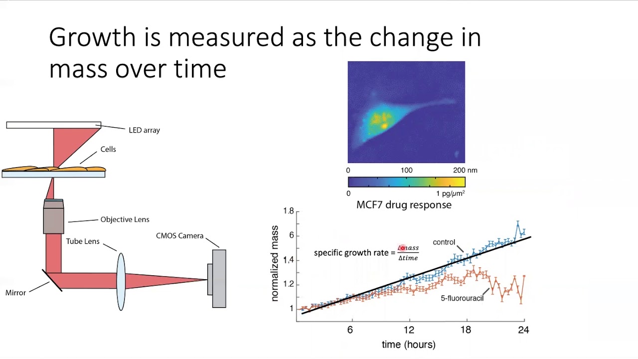 Measurement of Cancer Cell Drug Response with Quantitative Phase ...