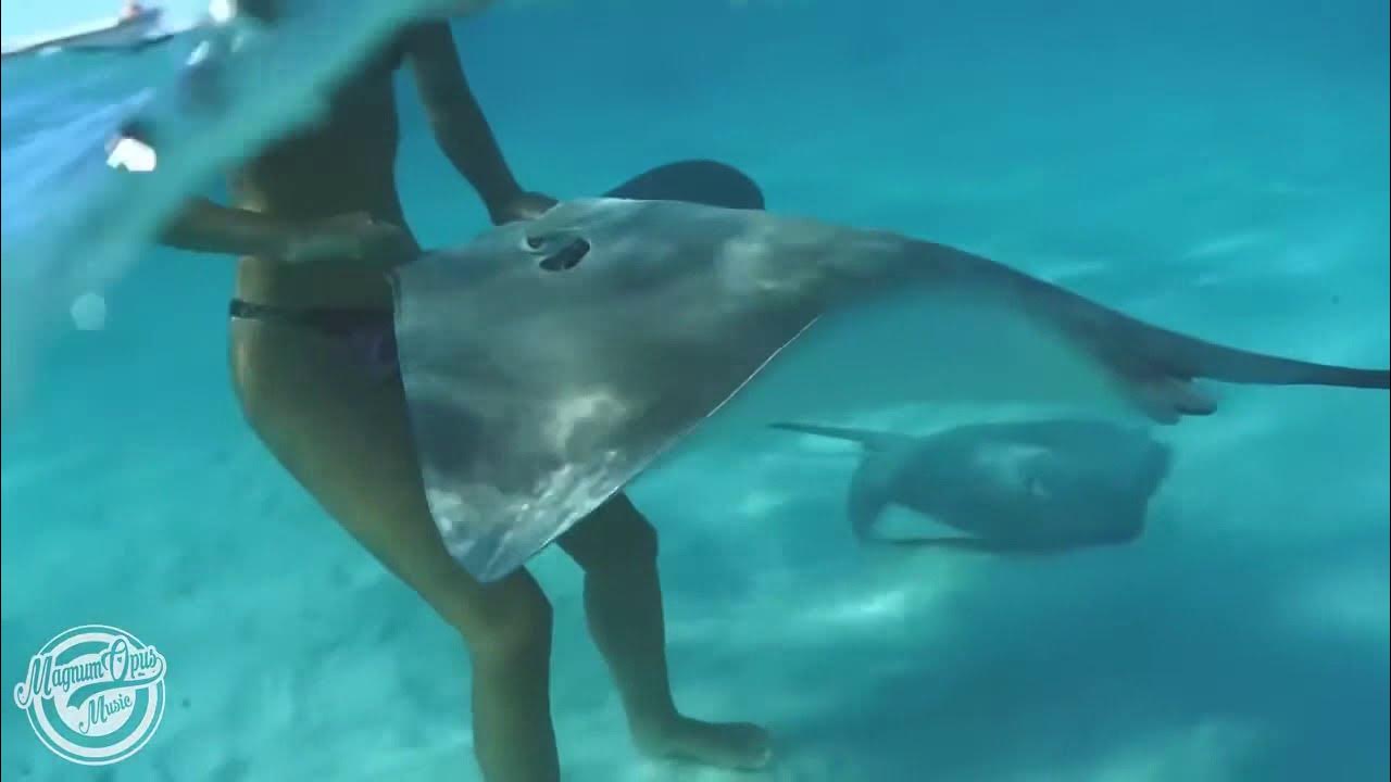 DJ Soda Sexy Music Video HD (Alan Walker Dance Remix - Paradox & Unity)[Electronic Music ...