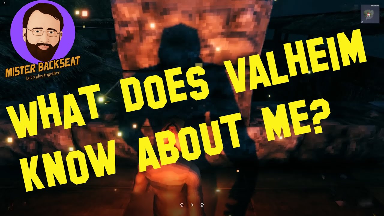 Valheim Meme: What does Valheim know about me? Was weiß Valheim über ...
