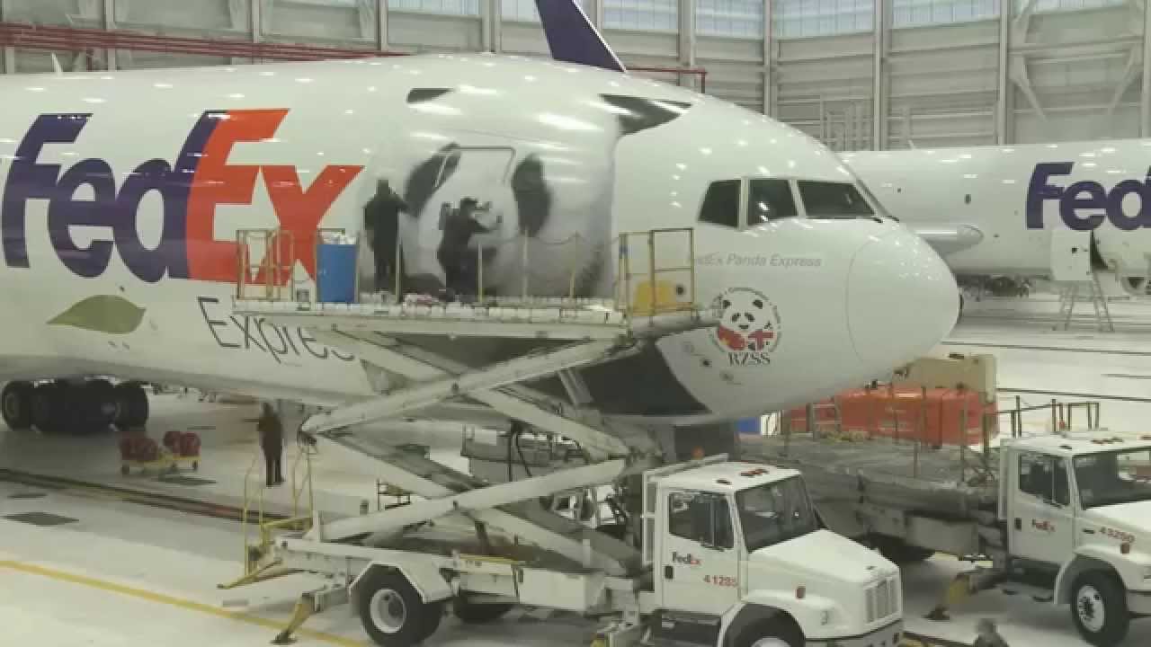 GLIMMA Apply Decal Panda Graphic to FedEx Boeing 777F - YouTube