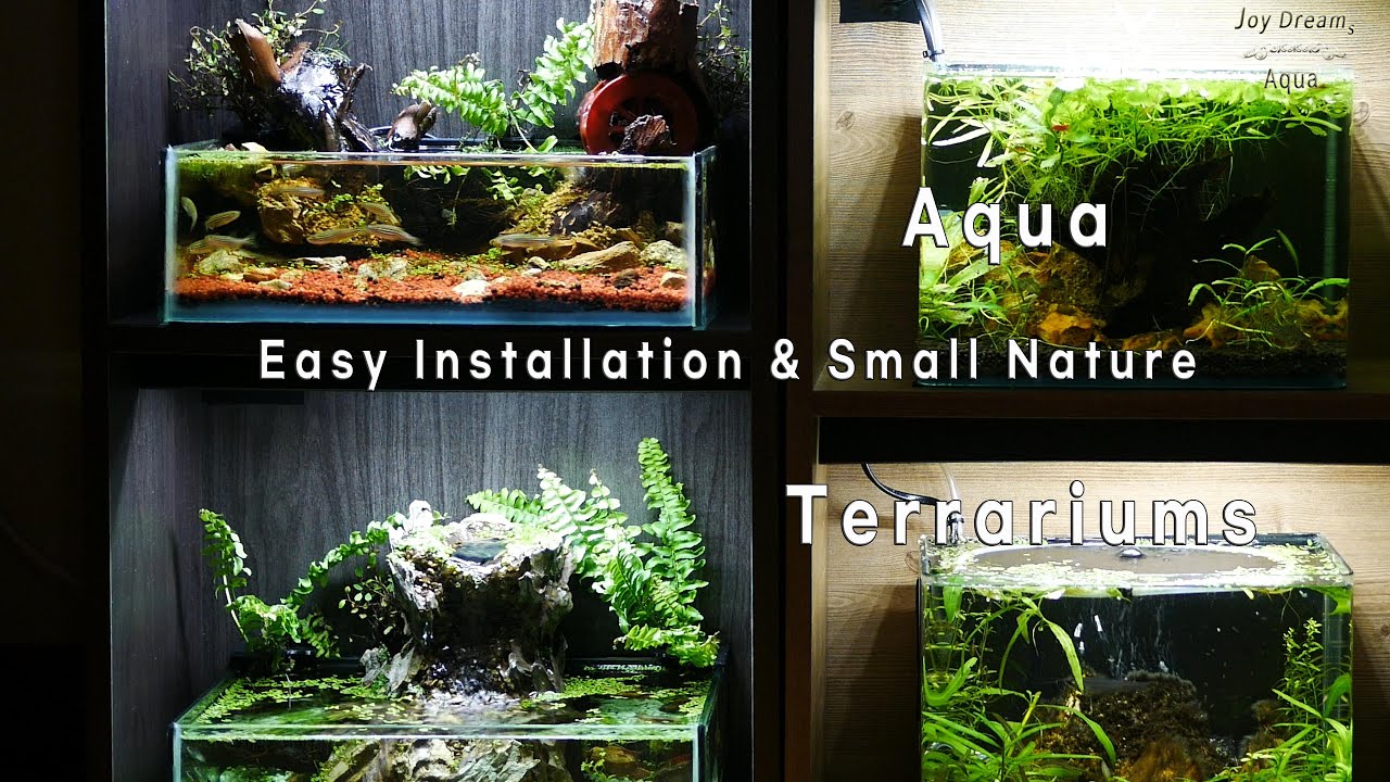 How To Make it easy Mini Planted terrarium tank DIY Aquascape terrarium ...