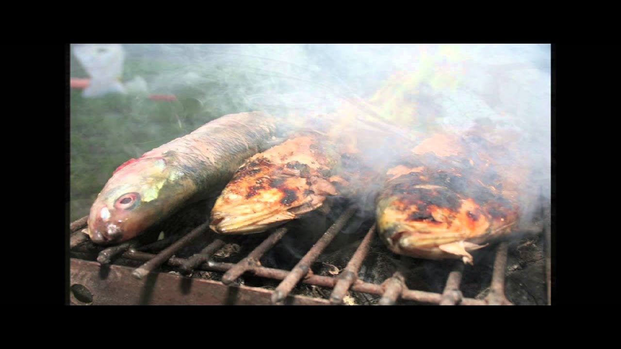 Burn The Fish - YouTube