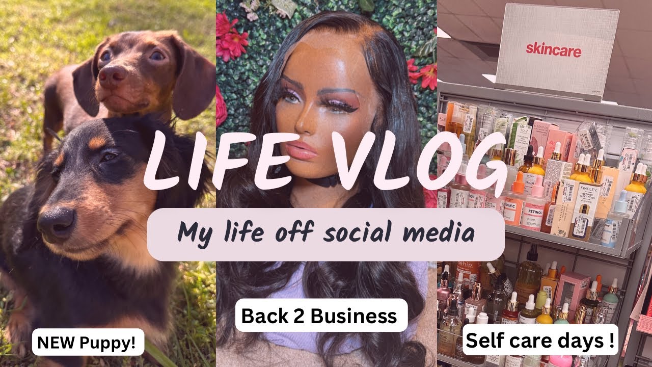 VLOG: I Got ANOTHER Weiner Dog + Starting My Wig Business AGAIN ...