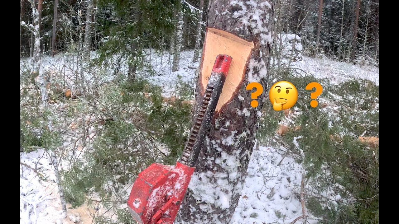 Puunkaatoa järvenrannalla, osa 2. "miten toimii tunkki?". Pro Finnish ...