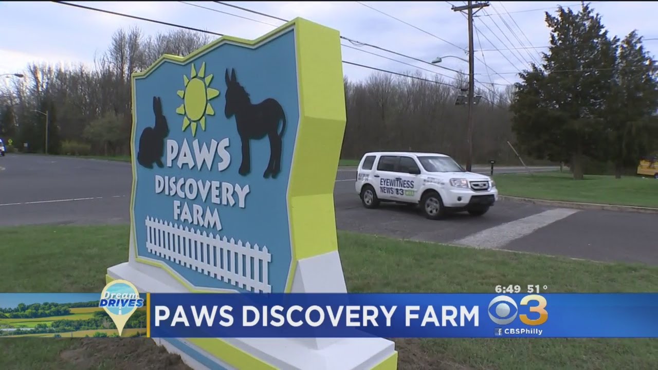 Dream Drives: Spring Babies At Paws Discovery Farm - YouTube