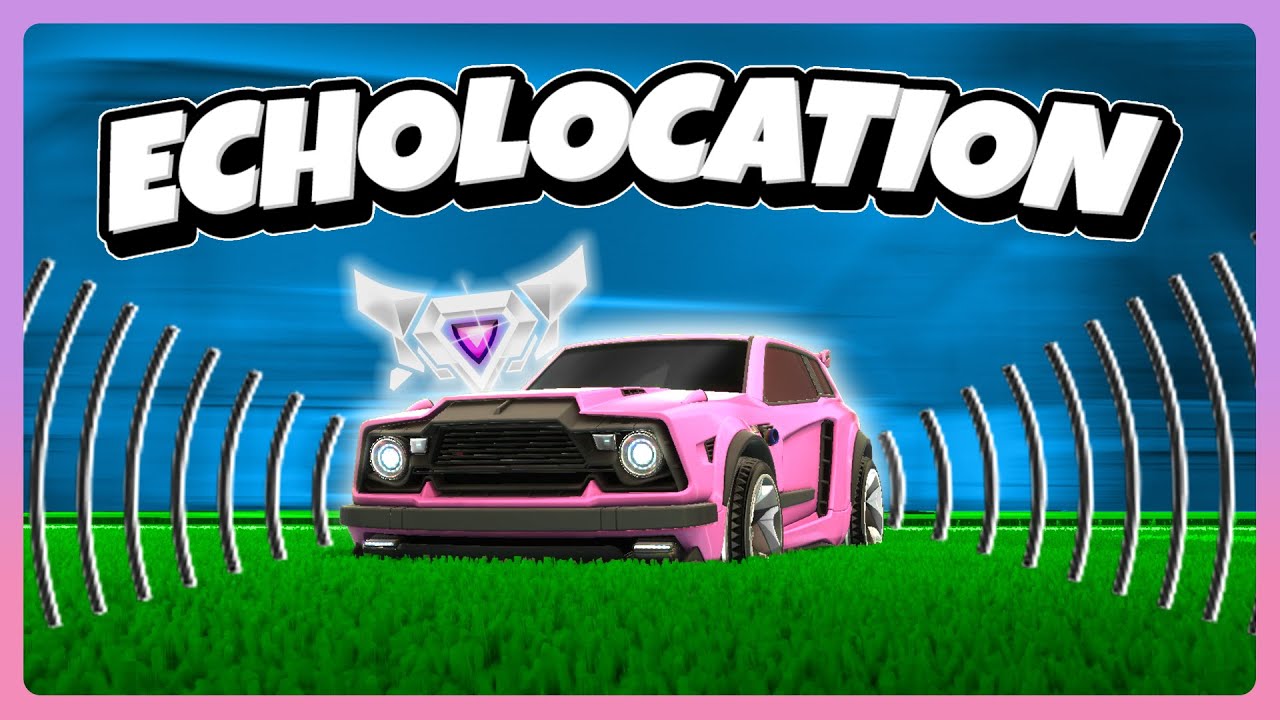 Using Echolocation To Win In SSL - YouTube