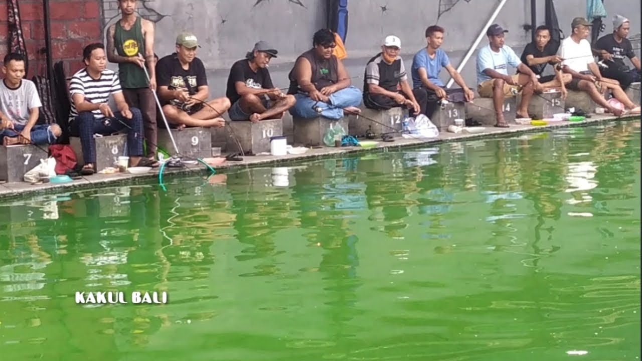 LOMBA MANCING GALATAMA IKAN LELE SIZE MONSTER 8KG UP - YouTube