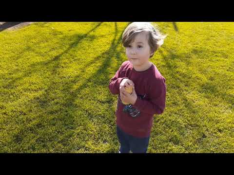Numbers in your Nest - YouTube