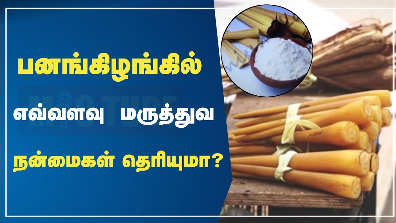 Palmyra Tuber Benefits in Tamil | பனங்கிழங்கின் மருத்துவ நன்மைகள் ...