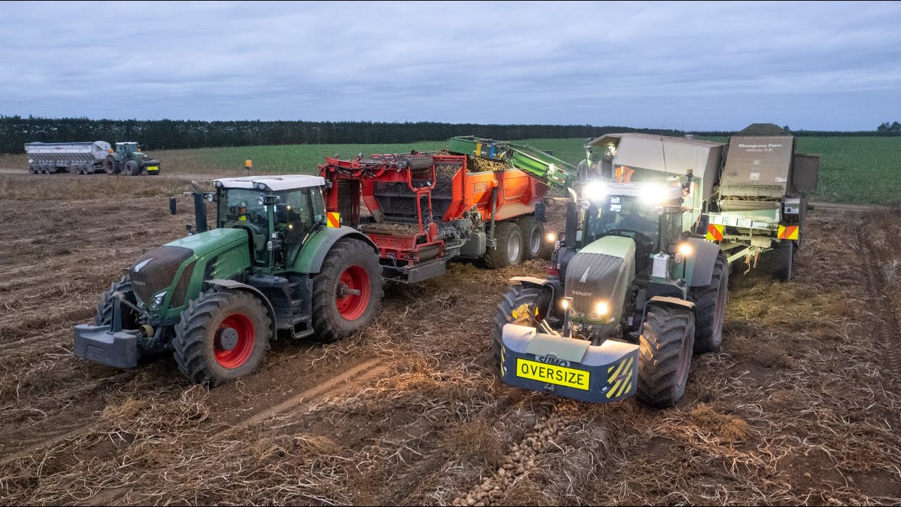 Harvesting Potatoes 4X Fendts & Blum Crop Cart - YouTube