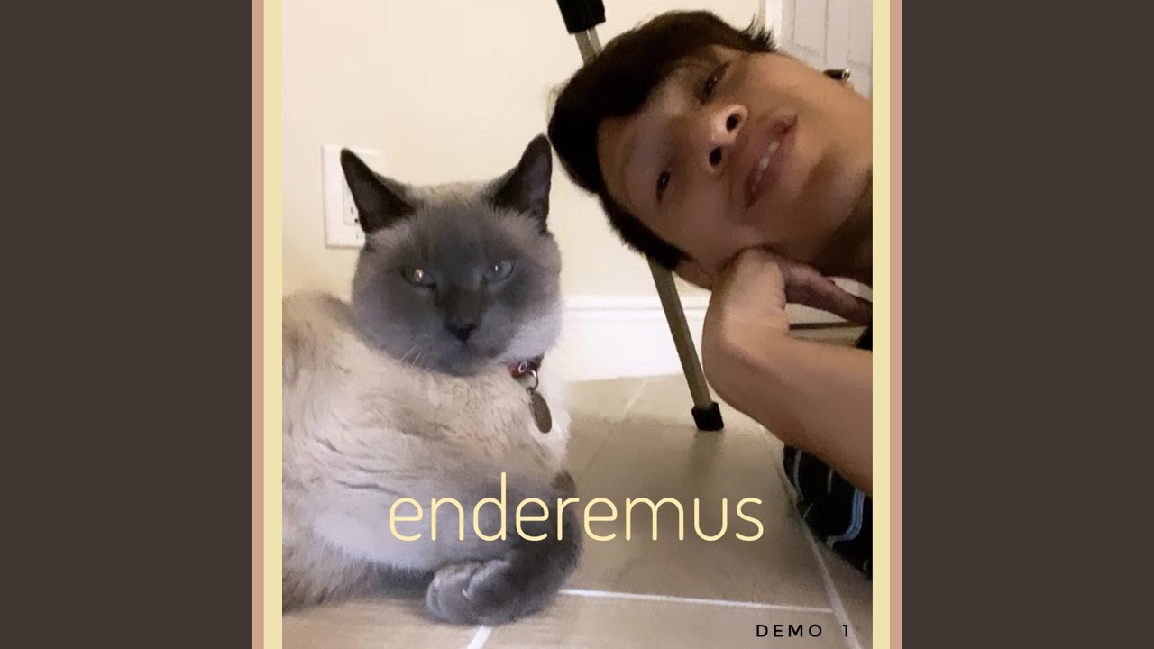 Remus Said - YouTube Music