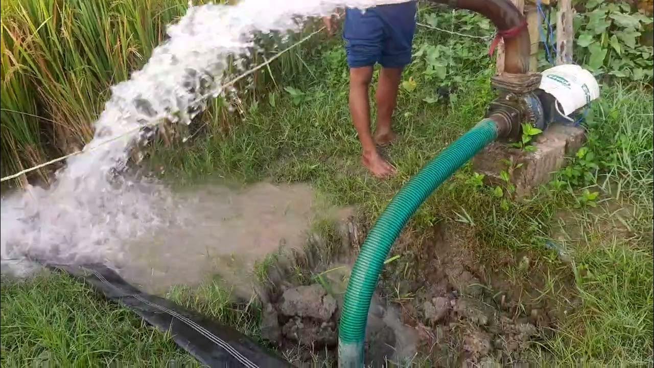 khet me pani diya ja raha h - YouTube