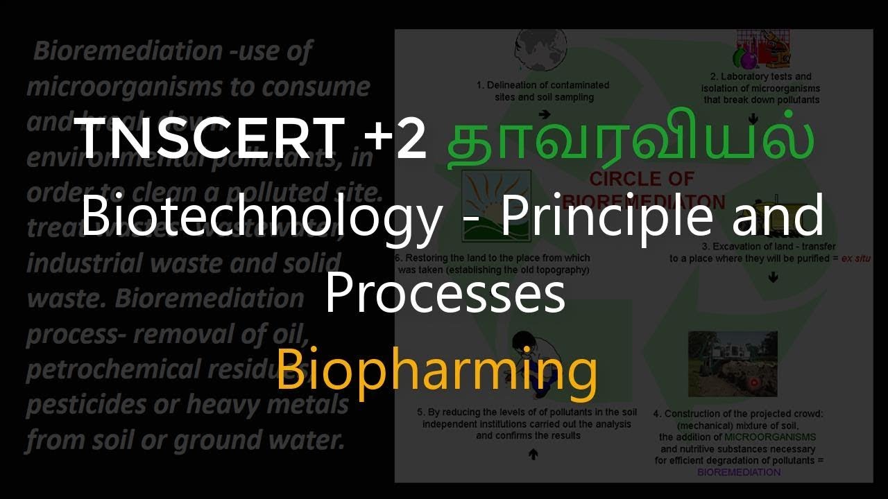 45.Botany | Biotechnology - Principle and Processes | Biopharming - YouTube