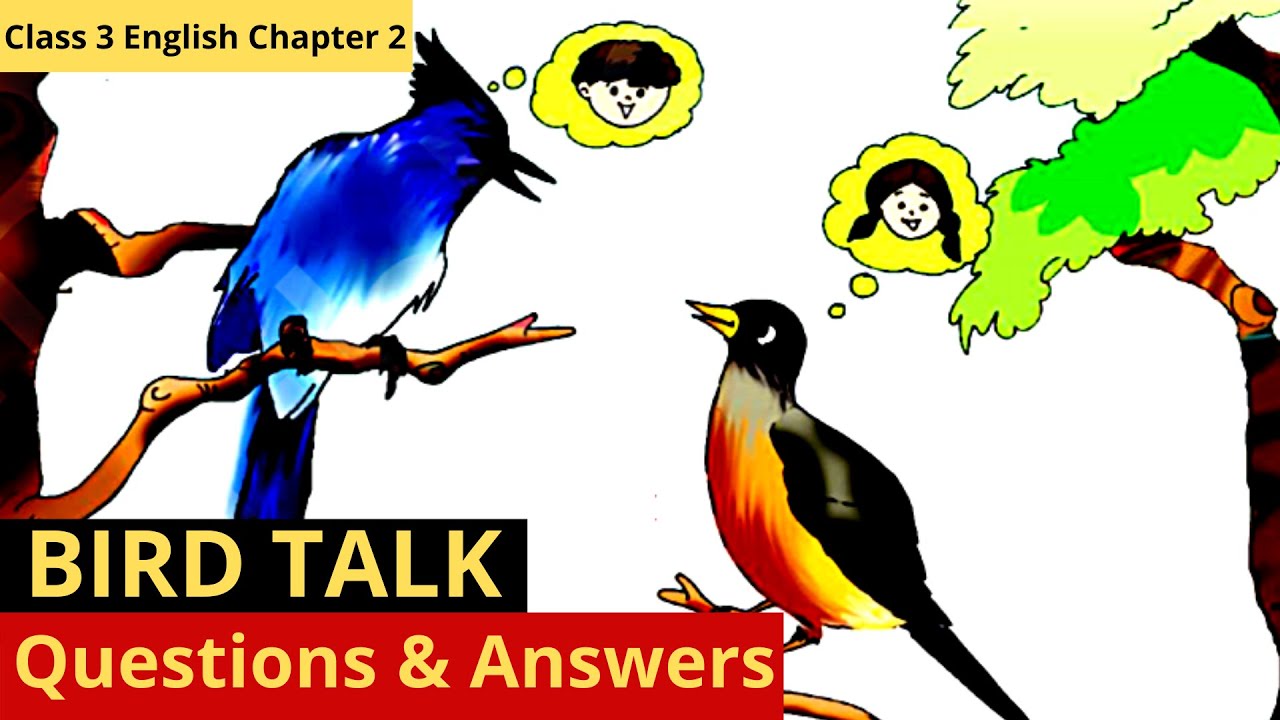 Bird Talk CBSE Class 3 English Chapter 2 Question Answers bird-talk-cbse-class-3-english-chapter-2-question-answers