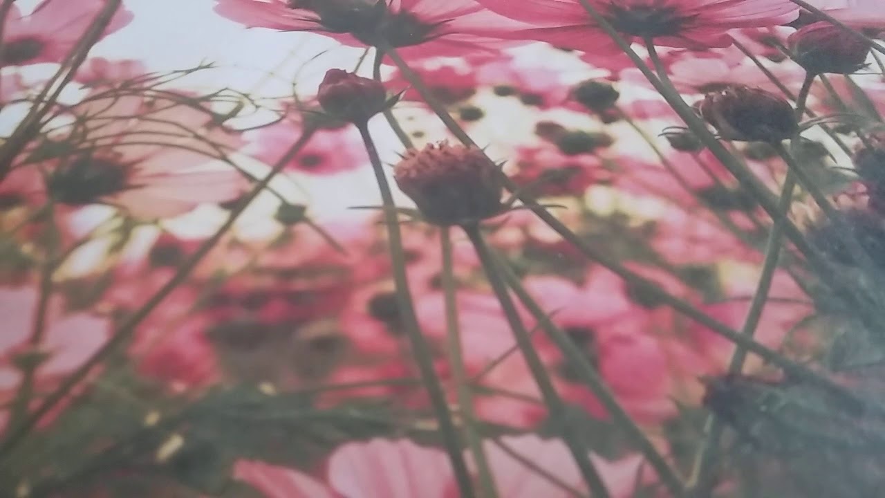 WARFARE,SALVATION AND REPENTANCE PRAYER..... JULIE WHEDBEE - YouTube