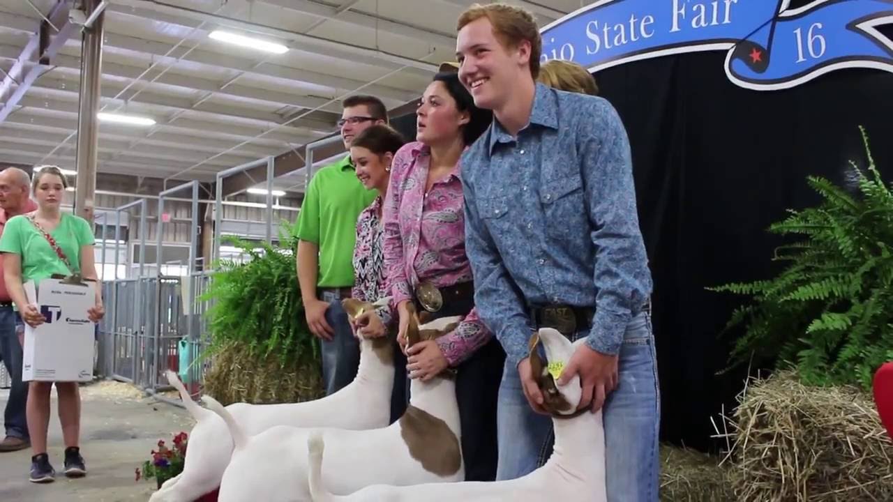 2016 Ohio State Fair Grand Champion Market Wether Goat — Taylor Carr ...