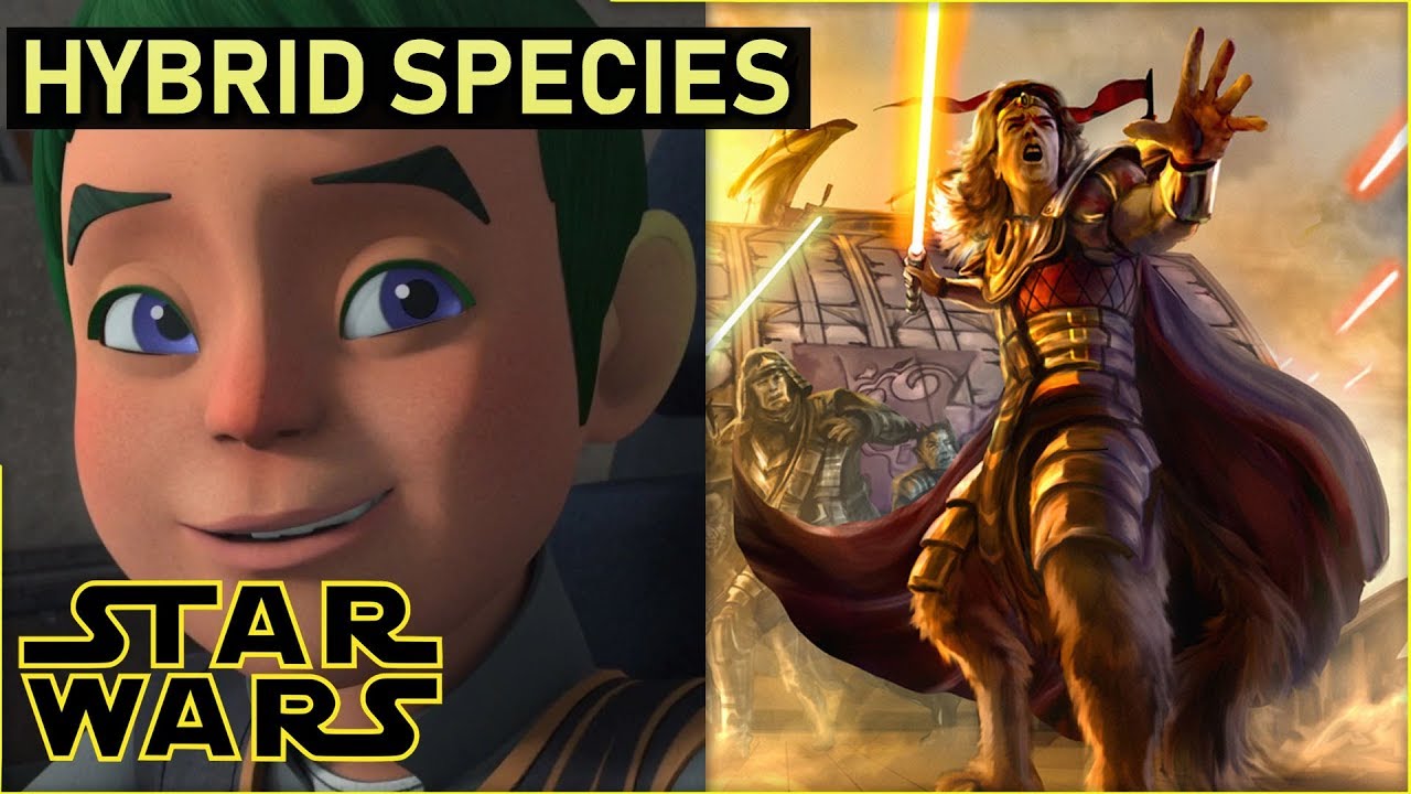 Could Inter-Species Couples Have Children? | Star Wars Lore - YouTube