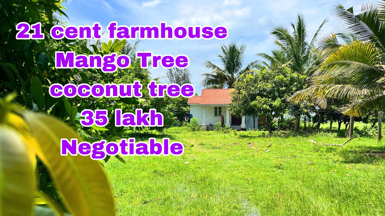 🆔61// 21 cent farmhouse mango tree 🌳 coconut 🌴 tree ecr to 7 km ...