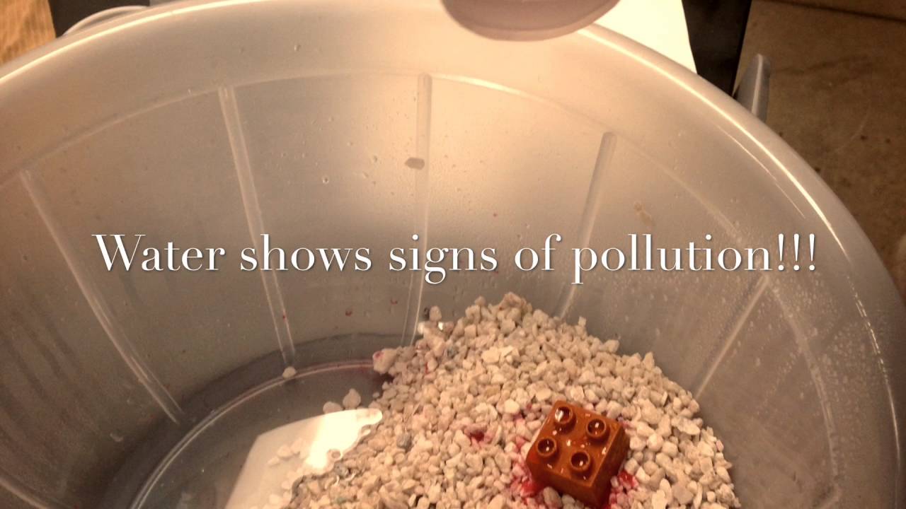 Water Pollution Lab - YouTube