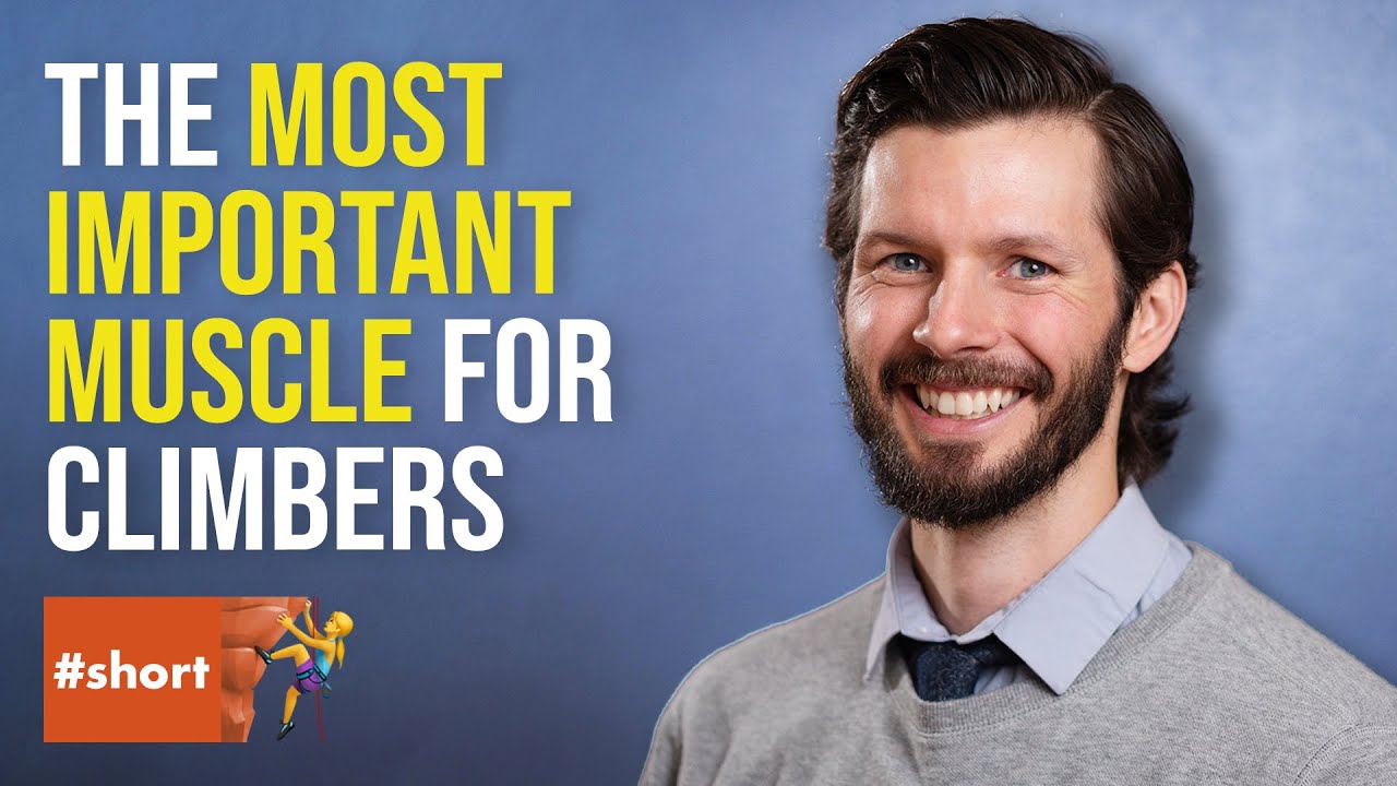 The Most Important Muscle for Climbing: Flexor Digitorum Profundus (FDP ...